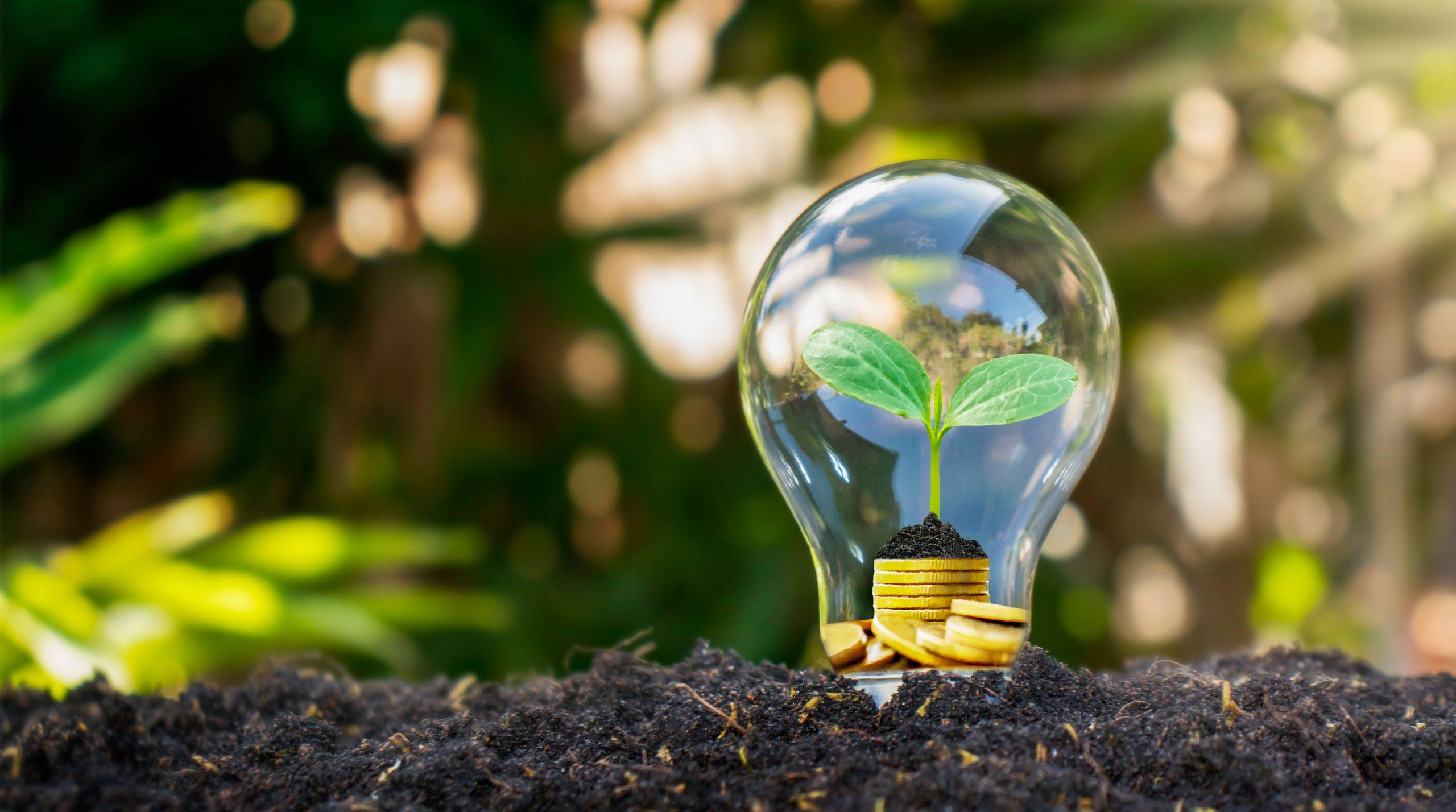 ODS17. "Es bien importante que se visualice (las acciones en RSE) para ...