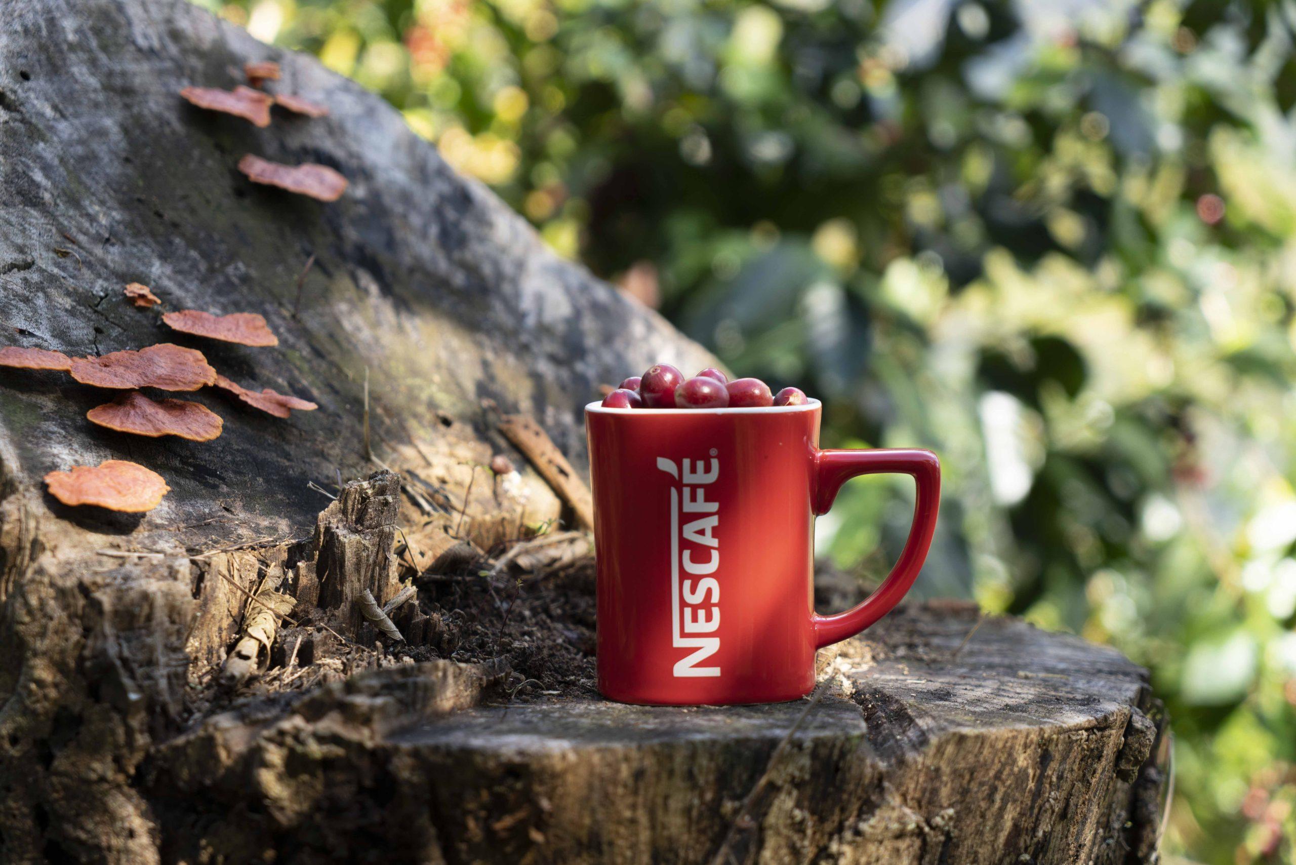 NESCAFÉ invertirá mil millones de dólares en programa global de ...
