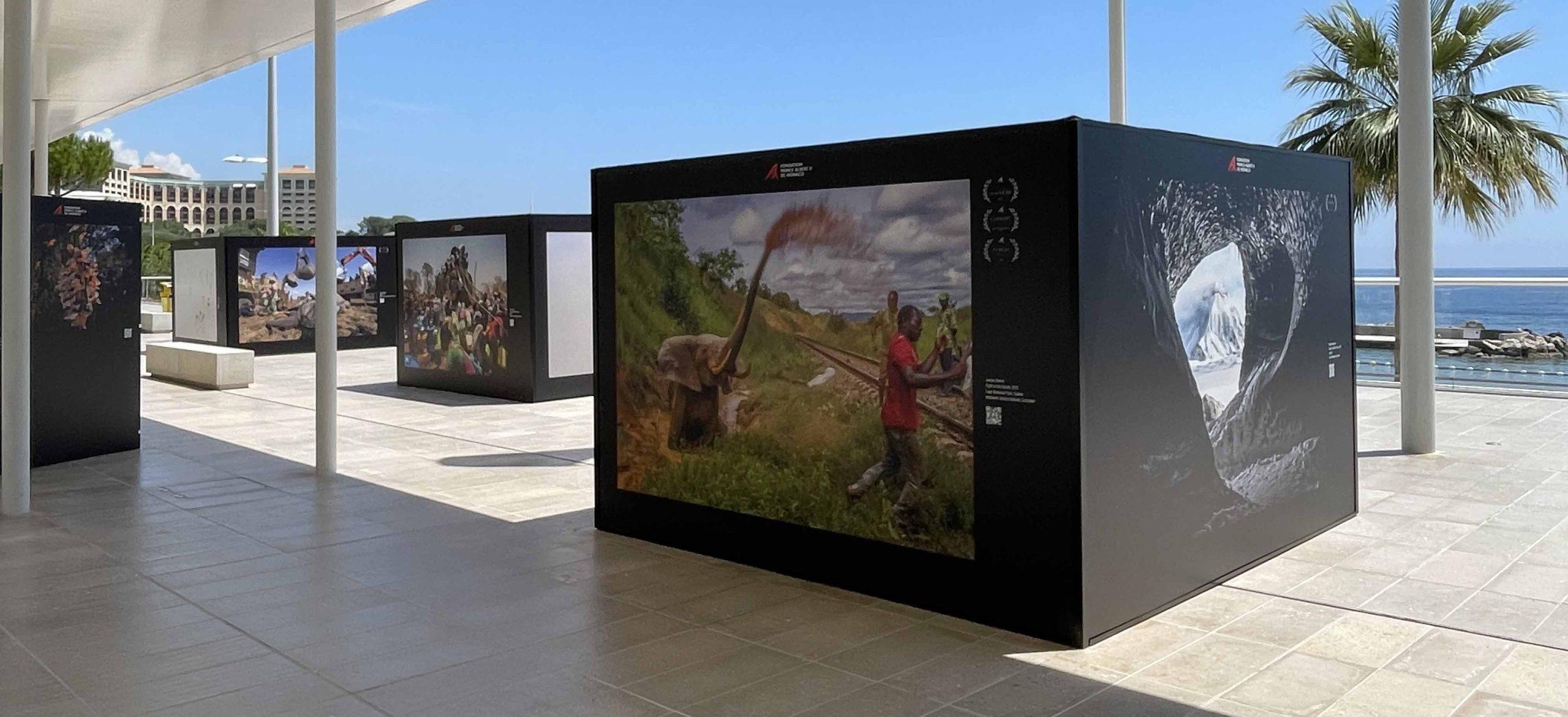 La Fundación Príncipe Alberto II de Mónaco presenta a los galardonados ...