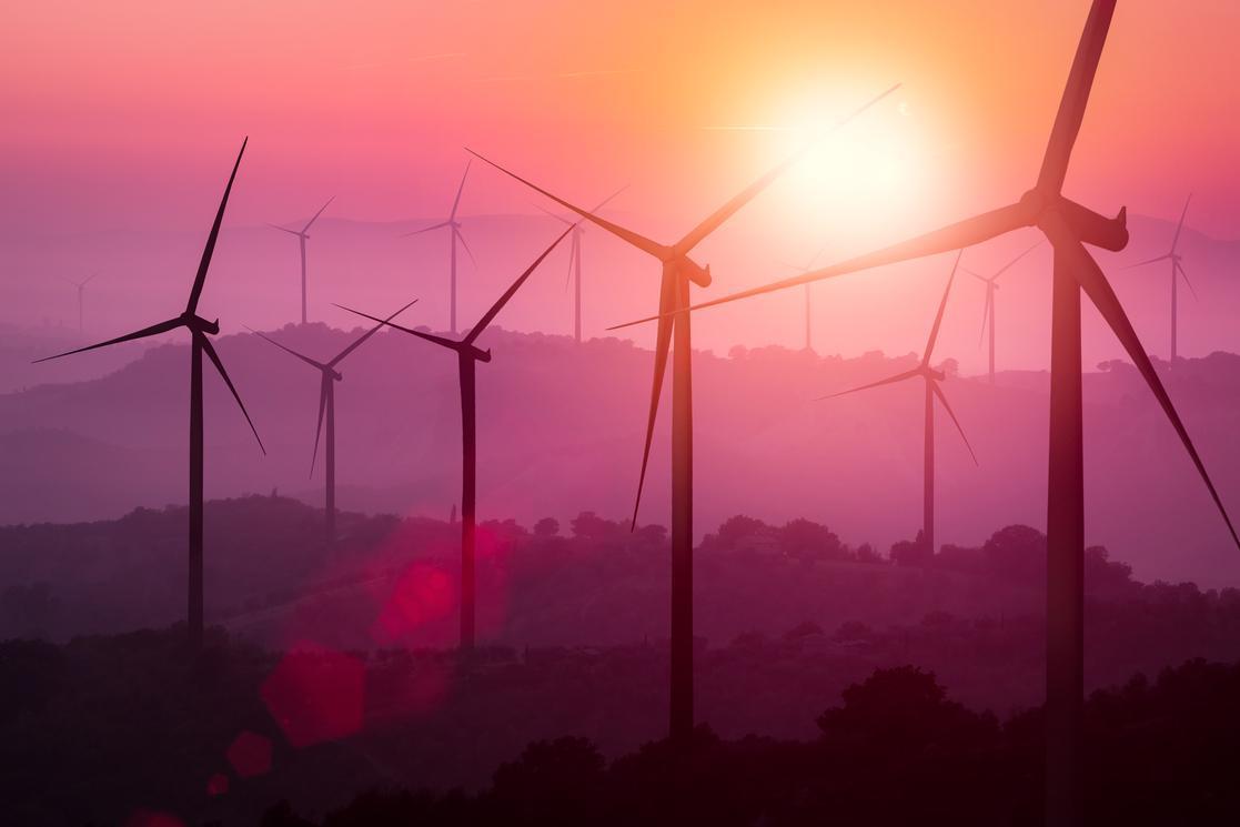 Gesternova Energía calcula su huella de carbono para 2023 a través de ...