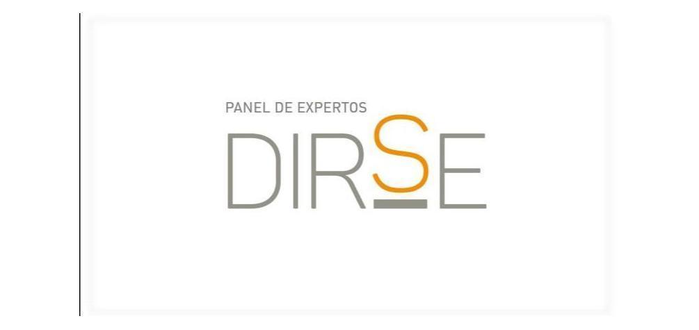 DIRSE lanza su Panel de Expertos para potenciar el conocimiento en ...